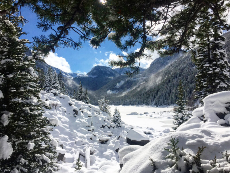 How to Survive Your First Winter in Bozeman, Montana - Bozeman Real ...