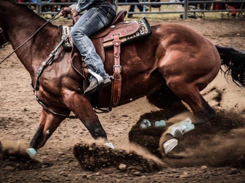 Rodeos in Bozeman - Bozeman Real Estate Group